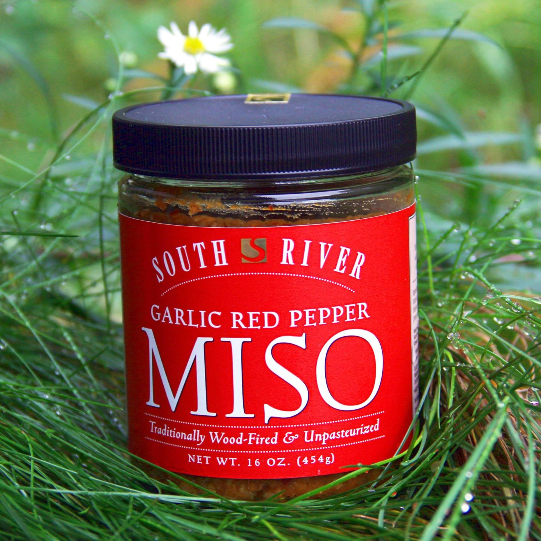 Balanced probiotics strongly influence immune system function